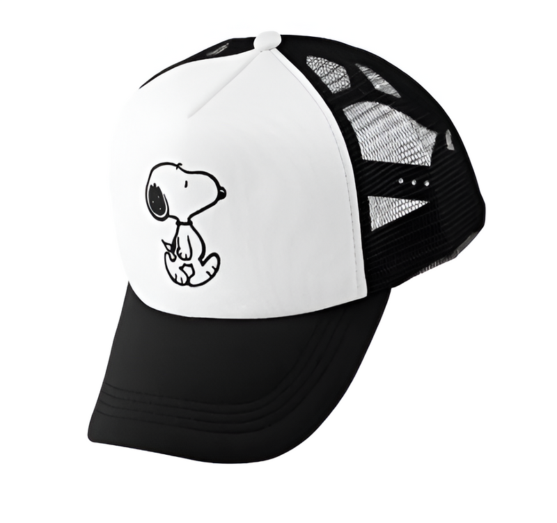 GIFT BOX SNOOPY – Fan & Fun